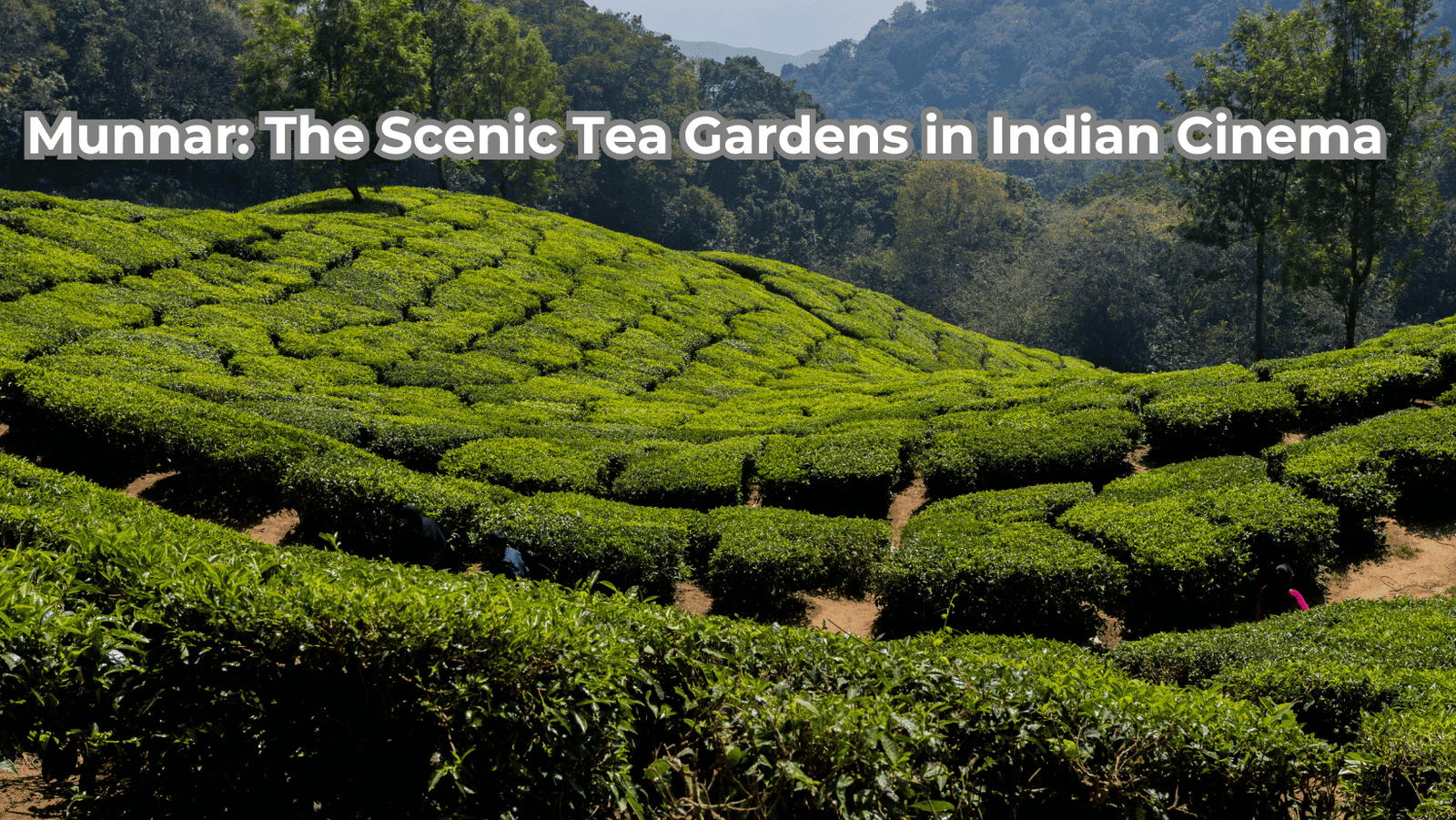10 Best Shooting Locations in India Featured Movies TV Shows