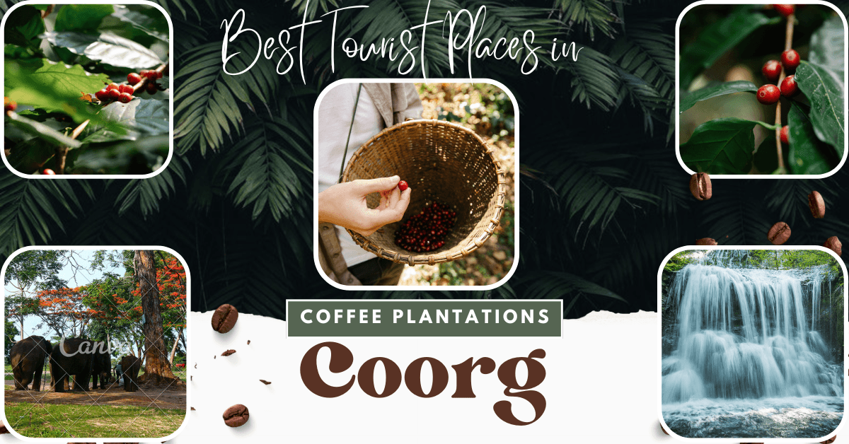 15 Best Tourist Places in Coorg: The Scotland of India